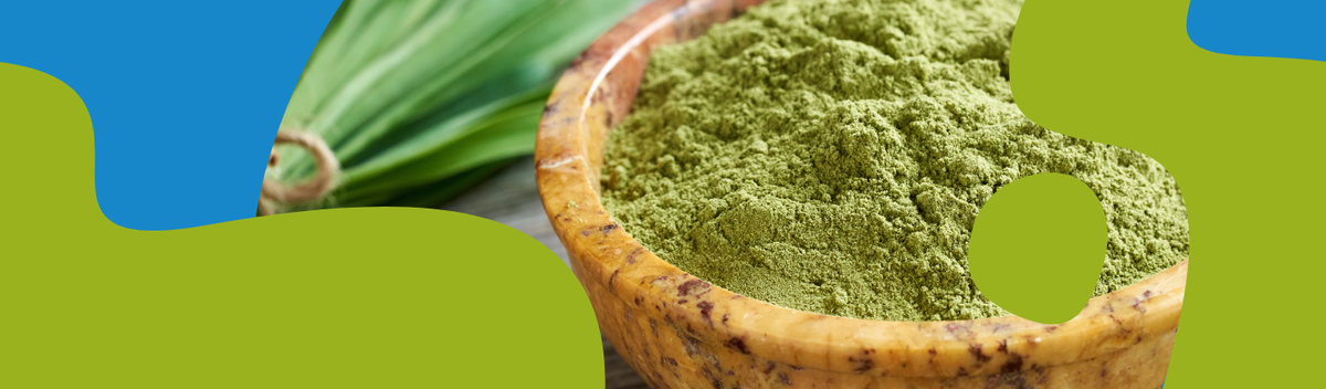 Young Barley Grass: Benefits, Uses & Nutrition Guide | Medpak